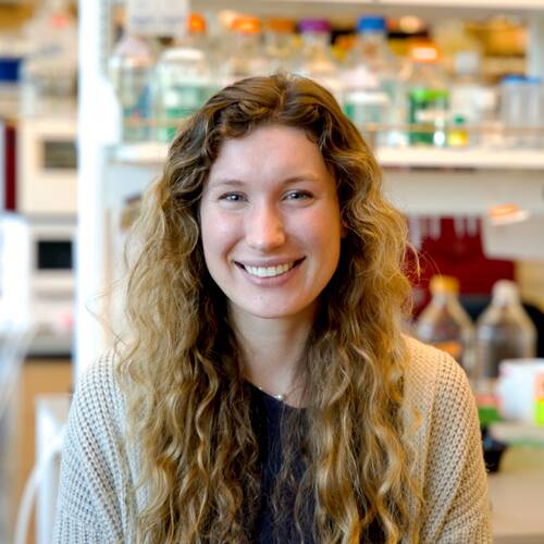 King Lab | Lab Members